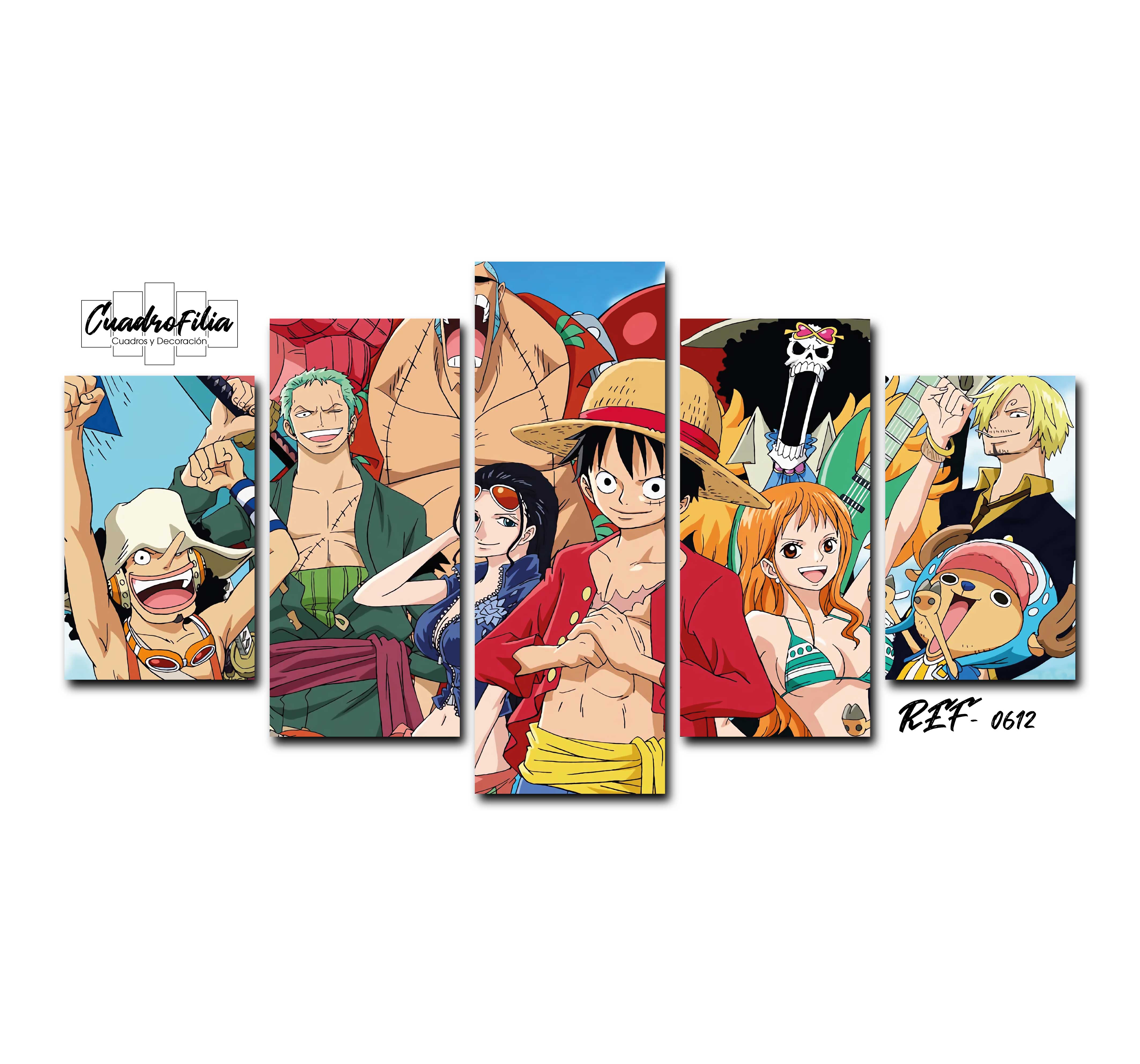 REF 0612 One Piece – cuadrofilia